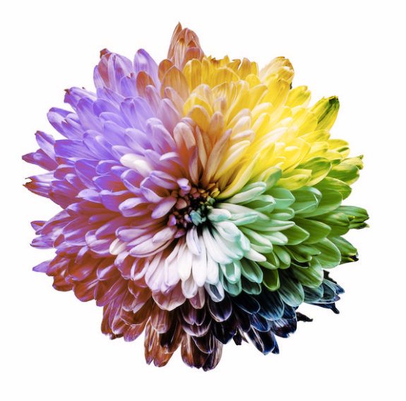 Easy Ways to Design Escape Rooms For Colorblindness - Room Escape Artist