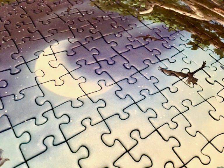 Ravensburger – The Curse of the Wolves Escape Puzzle [Review] - Room ...