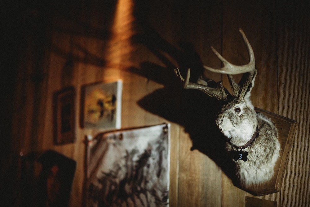 Trapology - Witching Hour [Review] - Room Escape Artist