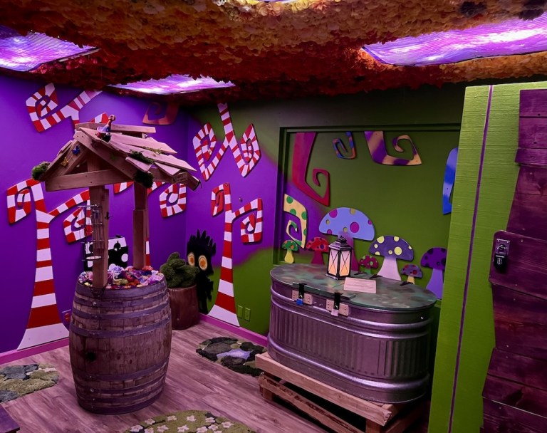 Escape Room 66 - The Mush Room [Review] - Room Escape Artist